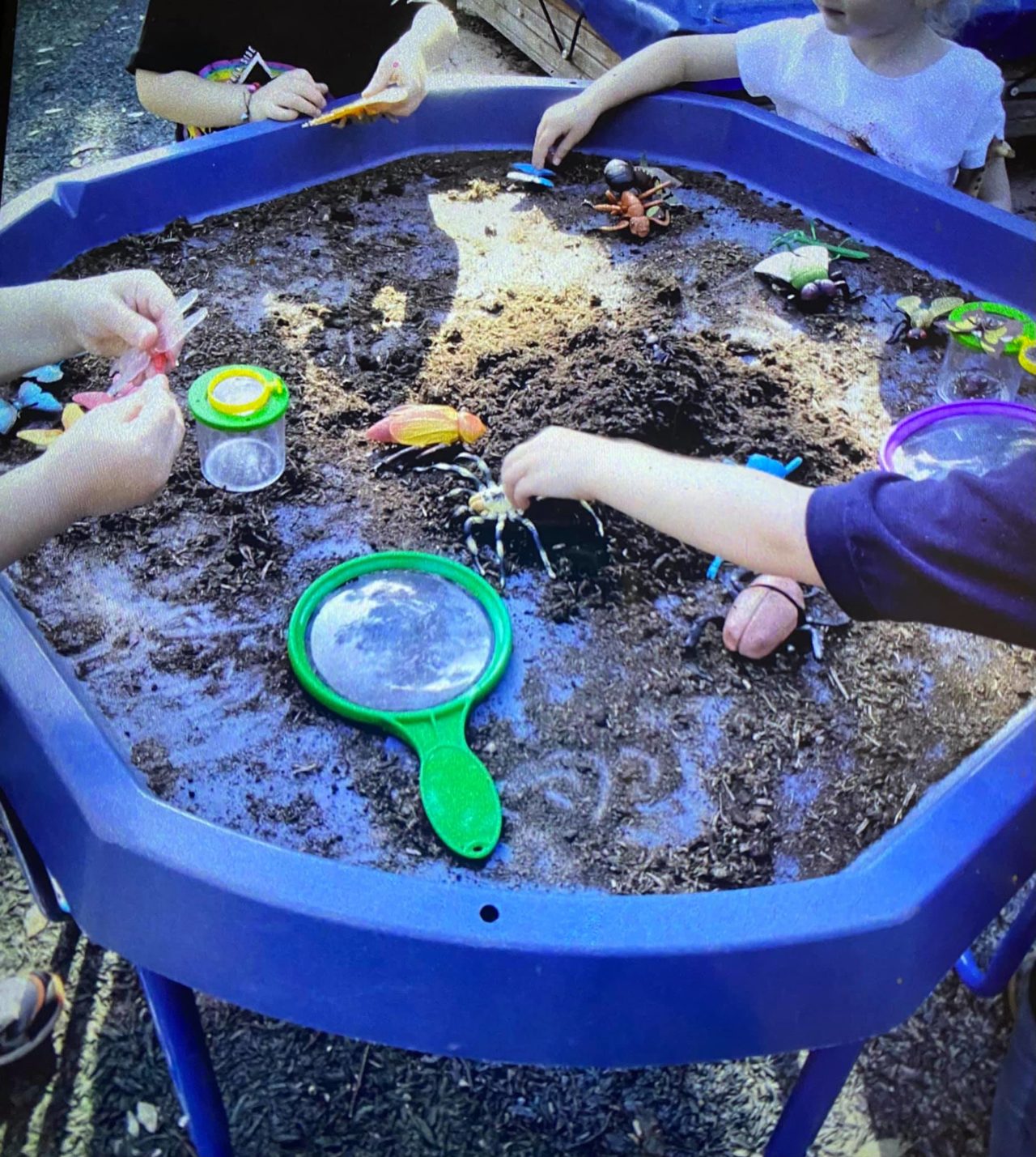 Forest School - Layer Preschool